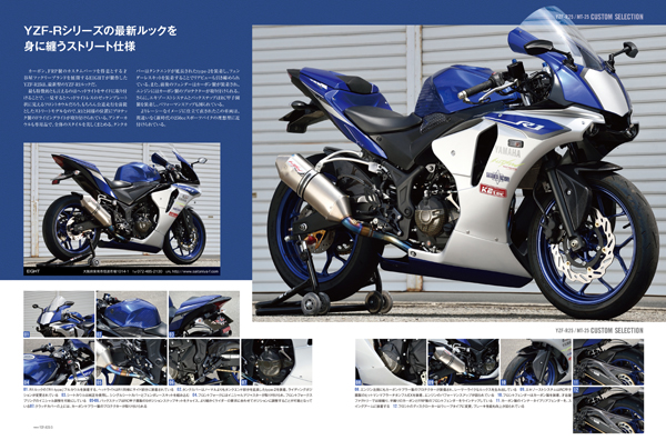 O様のYZF-R25「R1-type」のご紹介☆ - 才谷屋ファクトリー | バイクブロス